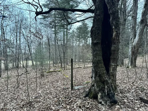 Best Hikes and Trails in Greenfield | AllTrails