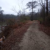 Collierville Greenbelt, Tennessee - 87 Reviews, Map | AllTrails