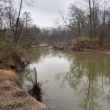 Collierville Greenbelt, Tennessee - 87 Reviews, Map | AllTrails