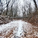 High Point Trail and Rock Top, Illinois - 189 Reviews, Map | AllTrails