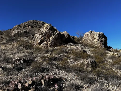 Best Trails near Tortugas Mountain | AllTrails