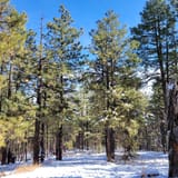 Mars Hill Trail, Arizona - 1,222 Reviews, Map | AllTrails