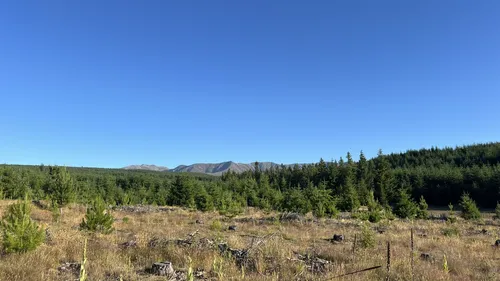 Best Hikes and Trails in Naseby Forest | AllTrails