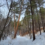 Mars Hill Trail, Arizona - 1,222 Reviews, Map | AllTrails
