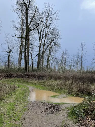 Best Hikes and Trails in Keizer Rapids Park | AllTrails