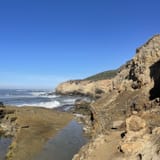 Point Loma Tidepools and Coastal Trail, California - 722 Reviews, Map ...
