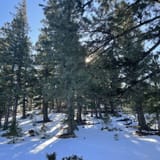 Elk Meadow, Colorado - 1,311 Reviews, Map | AllTrails