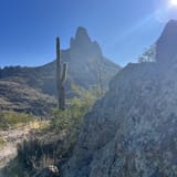 Weavers Needle Loop Trail, Arizona - 566 Reviews, Map | AllTrails