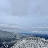 Mount Jackson and Mount Webster Trail Loop, New Hampshire - 2,077 ...