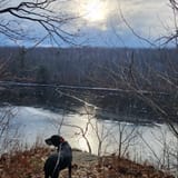 Benedict Pond Loop Trail, Massachusetts - 695 Reviews, Map | AllTrails