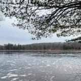 Benedict Pond Loop Trail, Massachusetts - 695 Reviews, Map | AllTrails