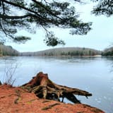 Benedict Pond Loop Trail, Massachusetts - 695 Reviews, Map | AllTrails