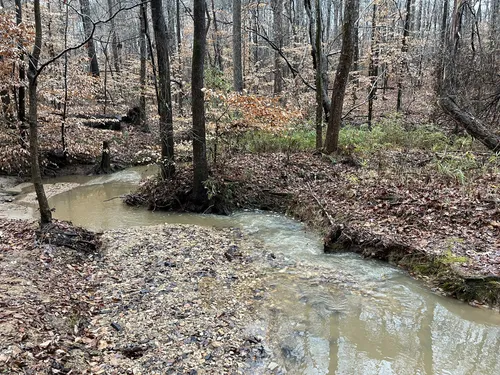 Best 10 Hiking Trails in Lake Johnson Nature Park | AllTrails