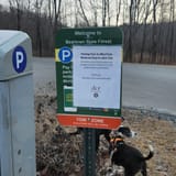 Benedict Pond Loop Trail, Massachusetts - 695 Reviews, Map | AllTrails