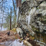 Benedict Pond Loop Trail, Massachusetts - 695 Reviews, Map | AllTrails