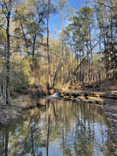 Best 10 Hiking Trails in Angelina National Forest | AllTrails