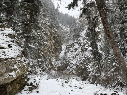 Best Waterfall Trails in Grande Cache | AllTrails