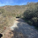 Lake Poway Loop Trail, California - 2,328 Reviews, Map | AllTrails