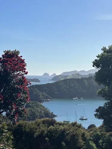 Best Hikes and Trails in Moturua Island Scenic Reserve | AllTrails