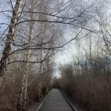 Mercer Slough Nature Park, Washington - 997 Reviews, Map | AllTrails