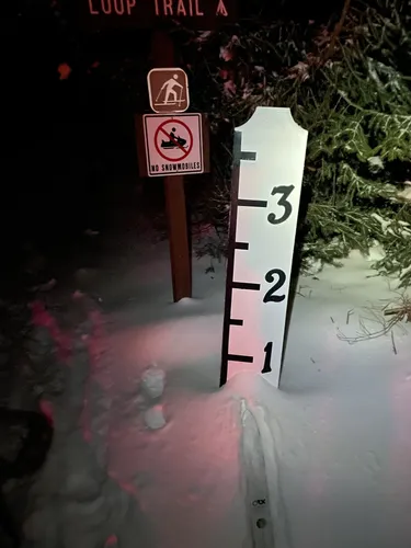 Best Walking Trails in Forbes State Forest | AllTrails