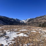 Cub Lake Loop, Colorado - 1,947 Reviews, Map | AllTrails