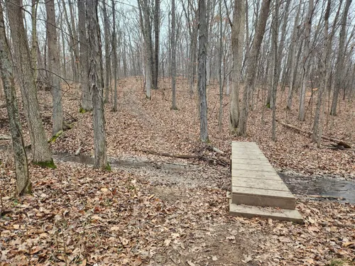 Best Hikes and Trails in Canton | AllTrails