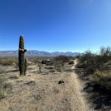 Honey Bee Canyon Loop, Arizona - 106 Reviews, Map | AllTrails