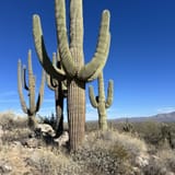 Honey Bee Canyon Loop, Arizona - 106 Reviews, Map | AllTrails