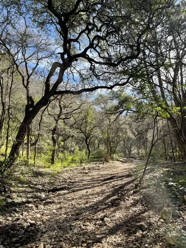 Best Hikes and Trails in Landa Park | AllTrails