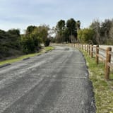 Bonelli Park Loop, California - 1,180 Reviews, Map | AllTrails