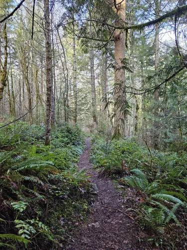 Best 10 Hiking Trails in Dosewallips State Park | AllTrails