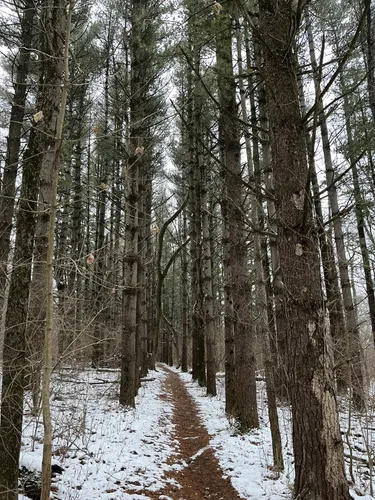 Best Hikes and Trails in Scott County Park | AllTrails