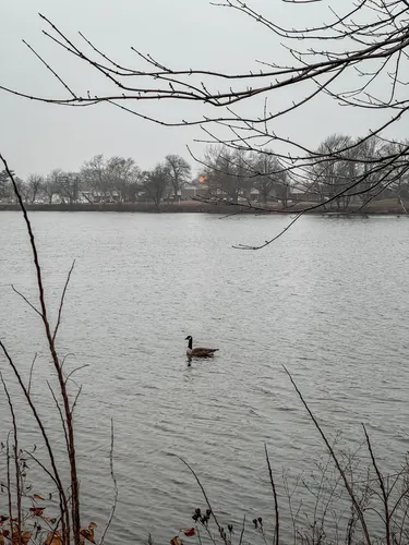 Best Hikes and Trails in Cooper River Park | AllTrails