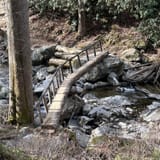 Ramsey Cascades Trail, Tennessee - 2,173 Reviews, Map | AllTrails