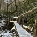 Ramsey Cascades Trail, Tennessee - 2,173 Reviews, Map | AllTrails