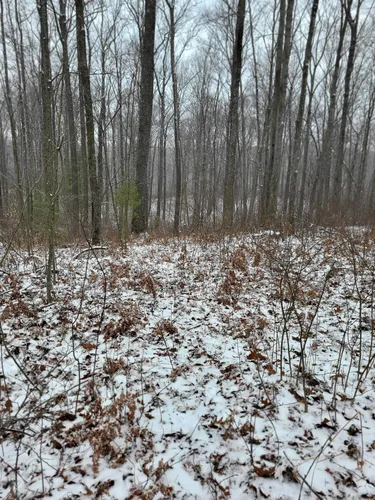 Best Long Trails in Au Sable State Forest | AllTrails