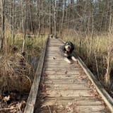Harris Lake Peninsula Trail, North Carolina - 1,700 Reviews, Map ...
