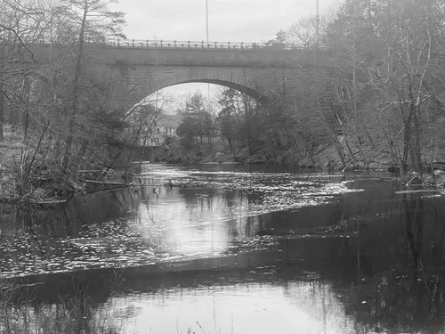 Best Hikes and Trails in Needham Heights | AllTrails