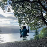 Notch Hill Loop, British Columbia, Canada - 1,415 Reviews, Map | AllTrails