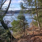 Benedict Pond Loop Trail, Massachusetts - 695 Reviews, Map | AllTrails