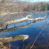 Benedict Pond Loop Trail, Massachusetts - 695 Reviews, Map | AllTrails
