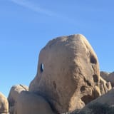 Skull Rock, California - 2,832 Reviews, Map | AllTrails