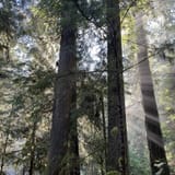 Gray Wolf Trail, Washington - 501 Reviews, Map | AllTrails