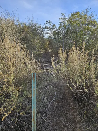 Best Hikes and Trails in Flinn Springs County Park | AllTrails