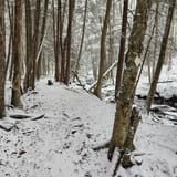 Morrison and Rimrock Trail Loop, Pennsylvania - 546 Reviews, Map ...