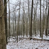 Morrison and Rimrock Trail Loop, Pennsylvania - 546 Reviews, Map ...