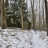 Morrison and Rimrock Trail Loop, Pennsylvania - 546 Reviews, Map ...
