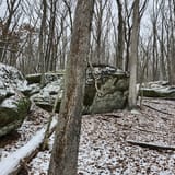 Morrison and Rimrock Trail Loop, Pennsylvania - 546 Reviews, Map ...