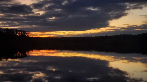 Best Wild Flowers Trails in Covington | AllTrails Best Wild Flowers Trails in Covington | AllTrails